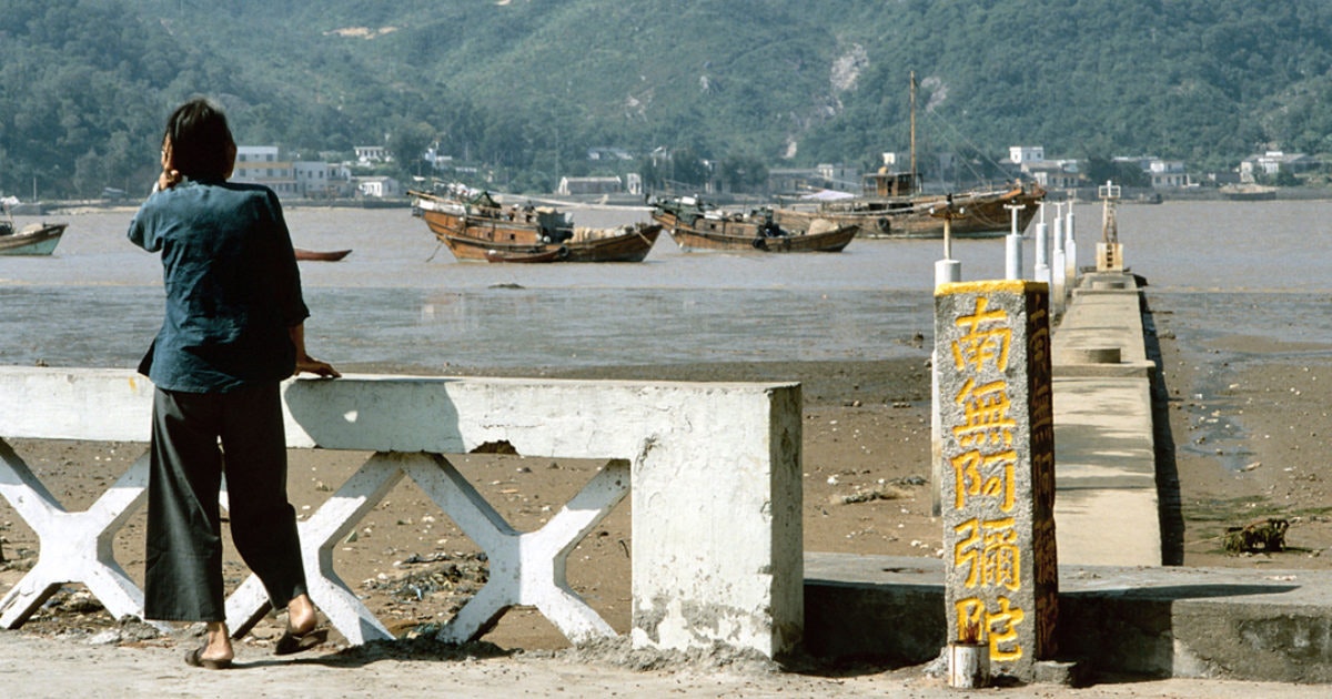 Twelve Journeys by Di Haigh | Allies and Morrison